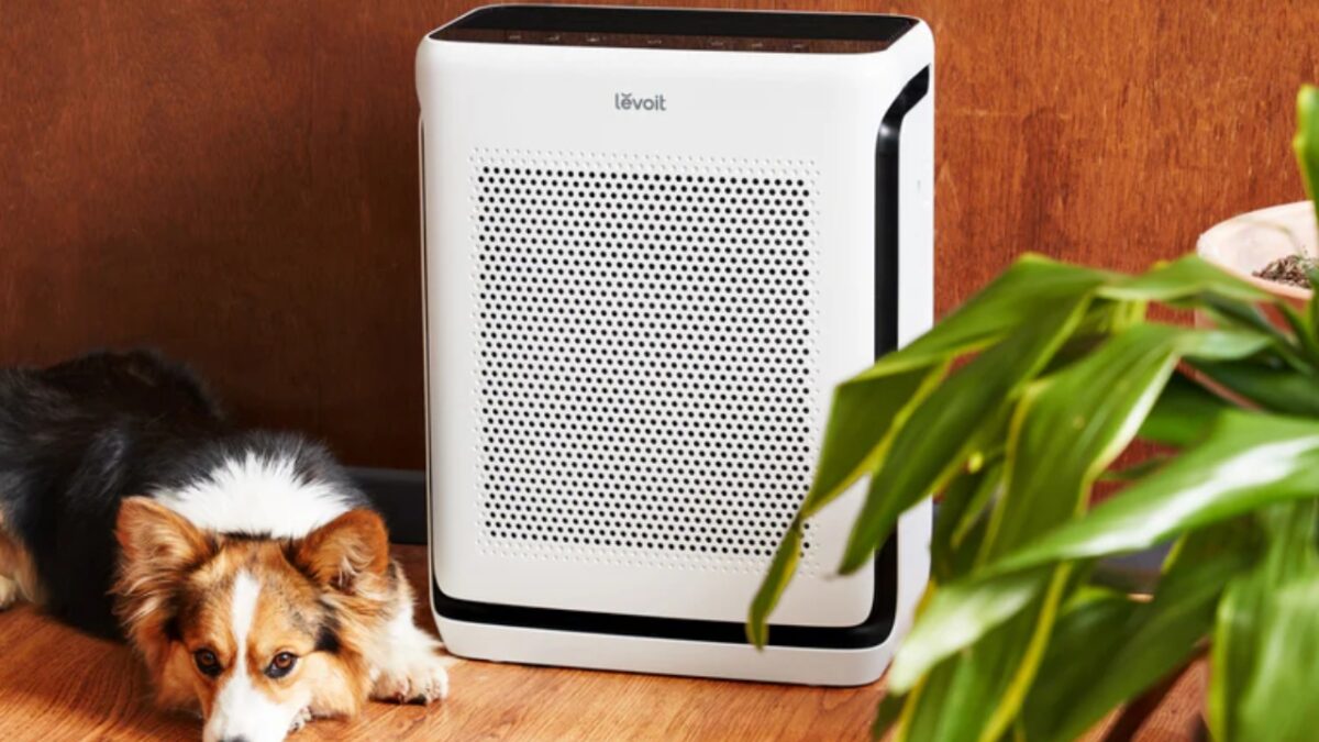 Best Pet Air Purifiers of 2025 That Help With Allergies and Odors