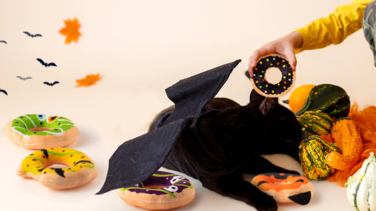 Cute Halloween Donut Catnip Toys Selling on Amazon for $12
