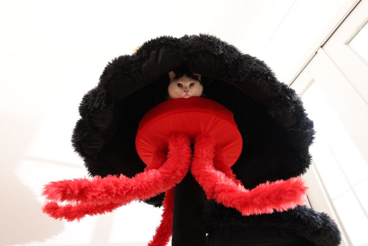 Jellyfish Cat Tree Glows Like a Sculptural Lamp