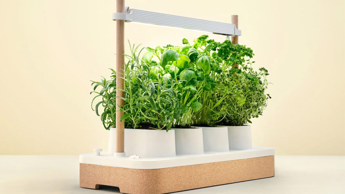 Auk Mini Hydroponic Indoor Garden Works With all Kinds of Seeds