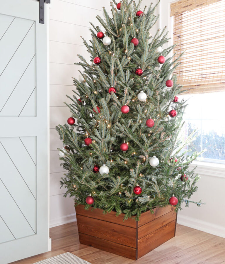 DIY Christmas Tree Stand Base Ideas To Try This Merry Season