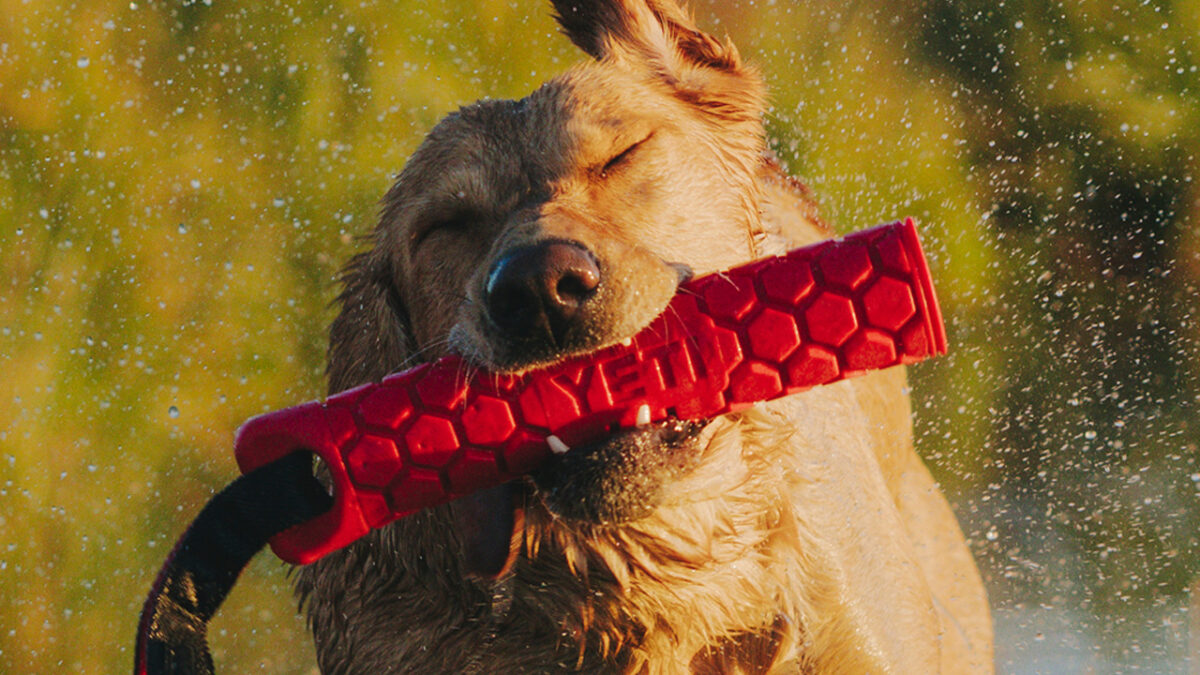 Yeti Launches Its First Dog Toys That'll Survive the Teeth and Paws