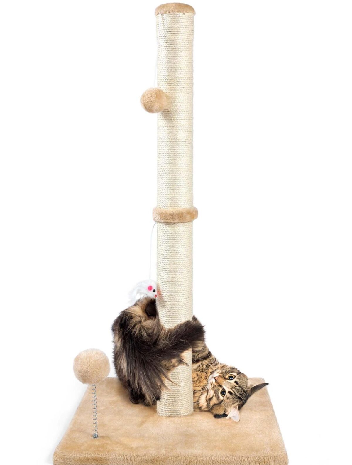 Best Cat Scratching Posts of 2026 for Perfectly Manicured Claws