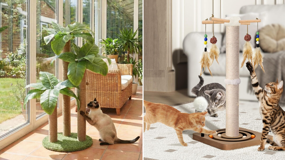 Best Cat Scratching Posts of 2026 for Perfectly Manicured Claws