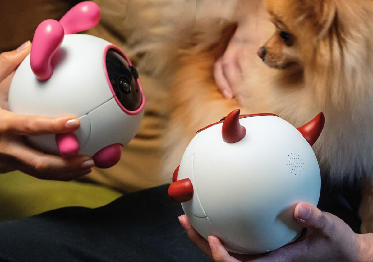 AI-Powered Vex Pet Robot Debuts at CES 2026