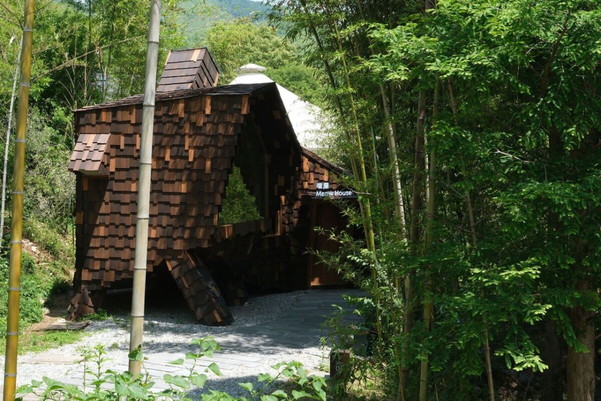 Vacation Rental in China Takes Its Form After Outstretched Cat