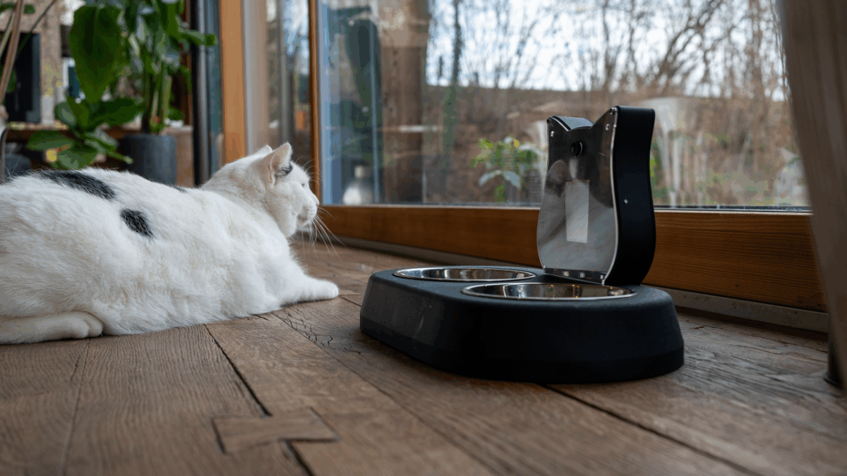 AI-Tails Smart Cat Feeder can Know When Your Cat's Sick