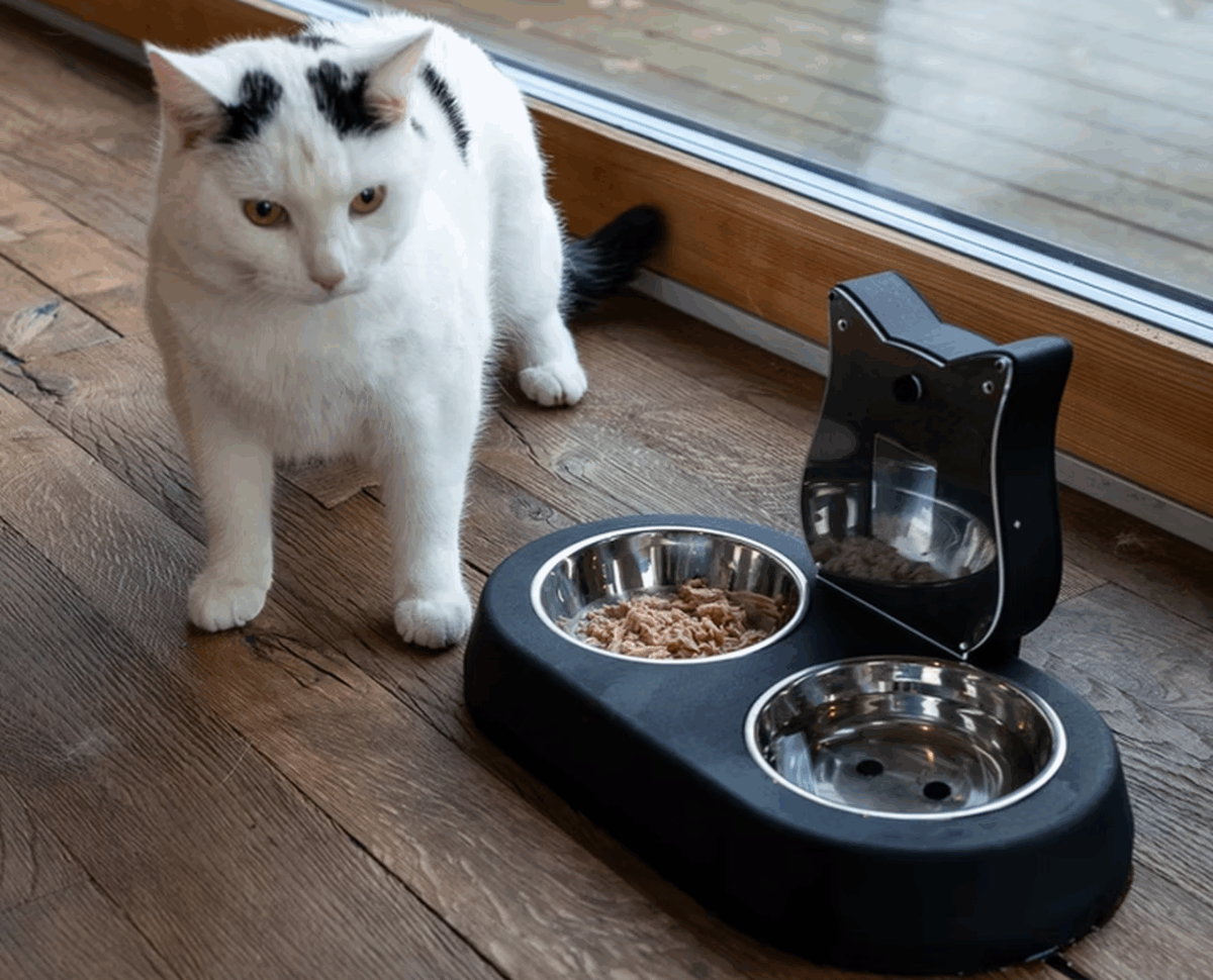 AI-Tails Smart Cat Feeder can Know When Your Cat's Sick