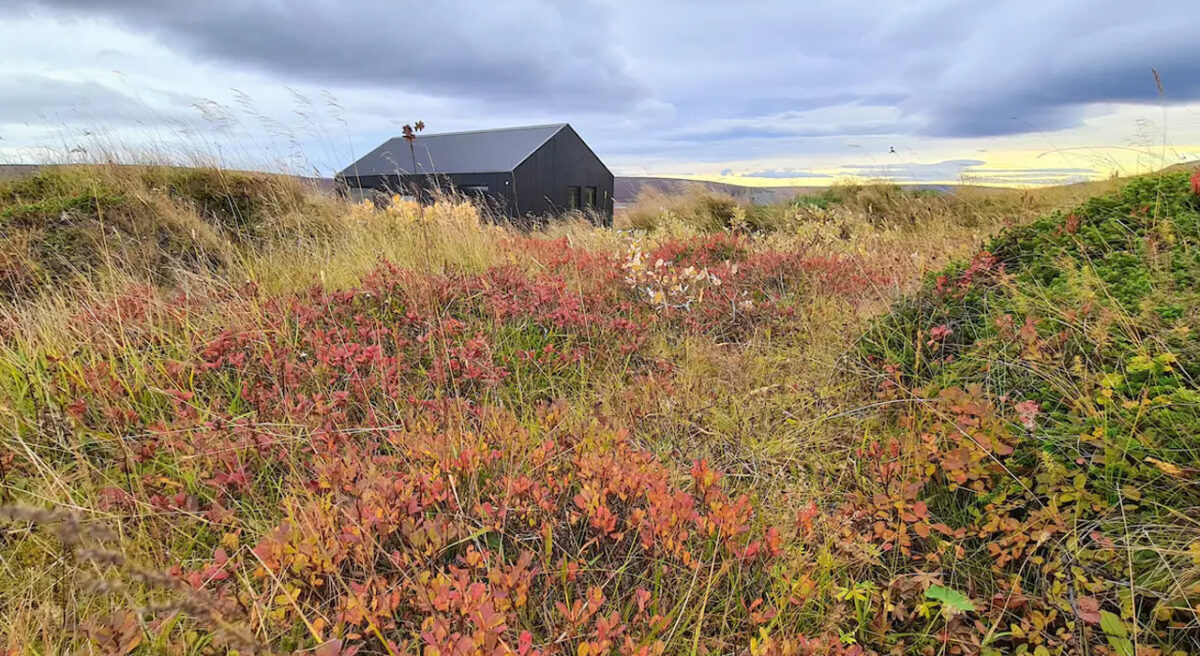 Svartaborg Tiny House is Nordic Retreat on Icelandic Landscape